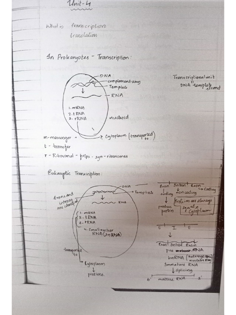 Cmb Unit-4 Complete on 9-11-2025 | PDF
