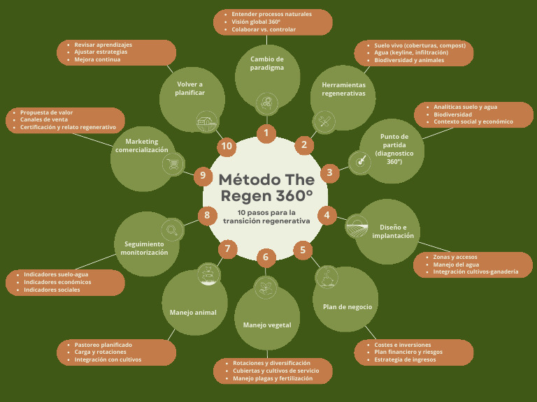 12 La Semana Regenerativa Mapa Mental the Regen 360 | PDF | Economias
