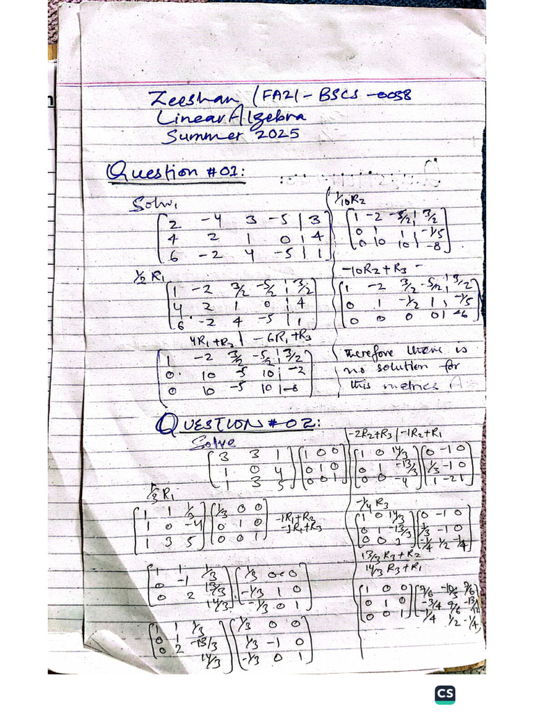 Linear Algebra Assignment 1 | PDF