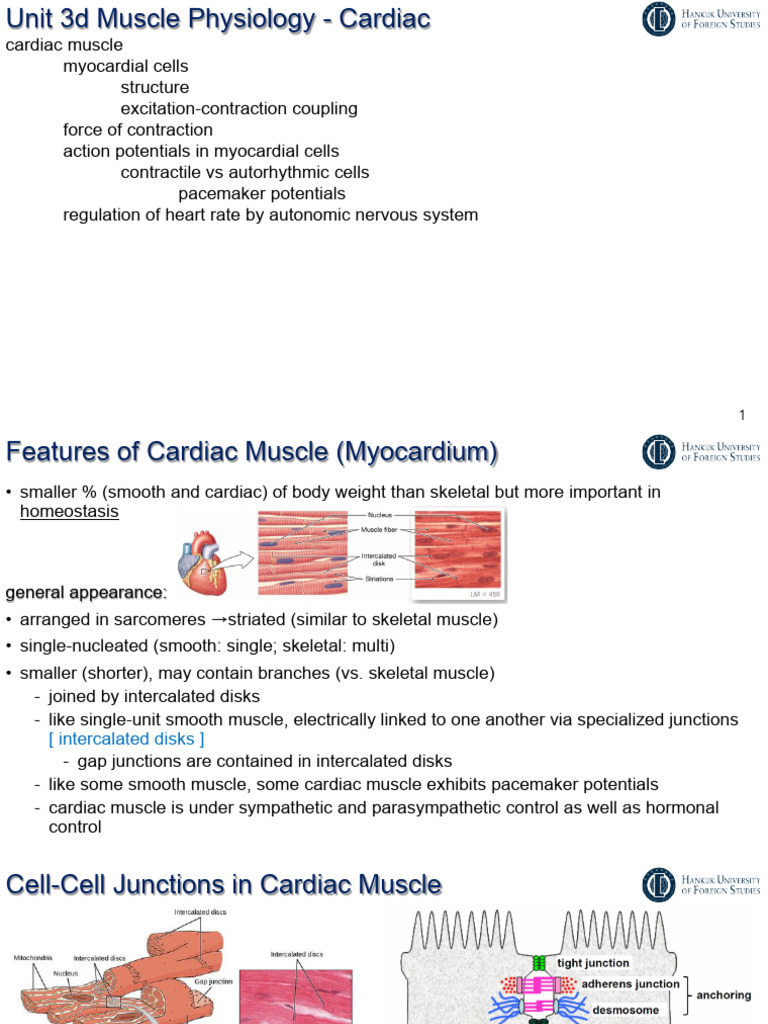 Cardiac Muscle Physiology Overview | PDF | Cardiac Muscle | Muscle ...