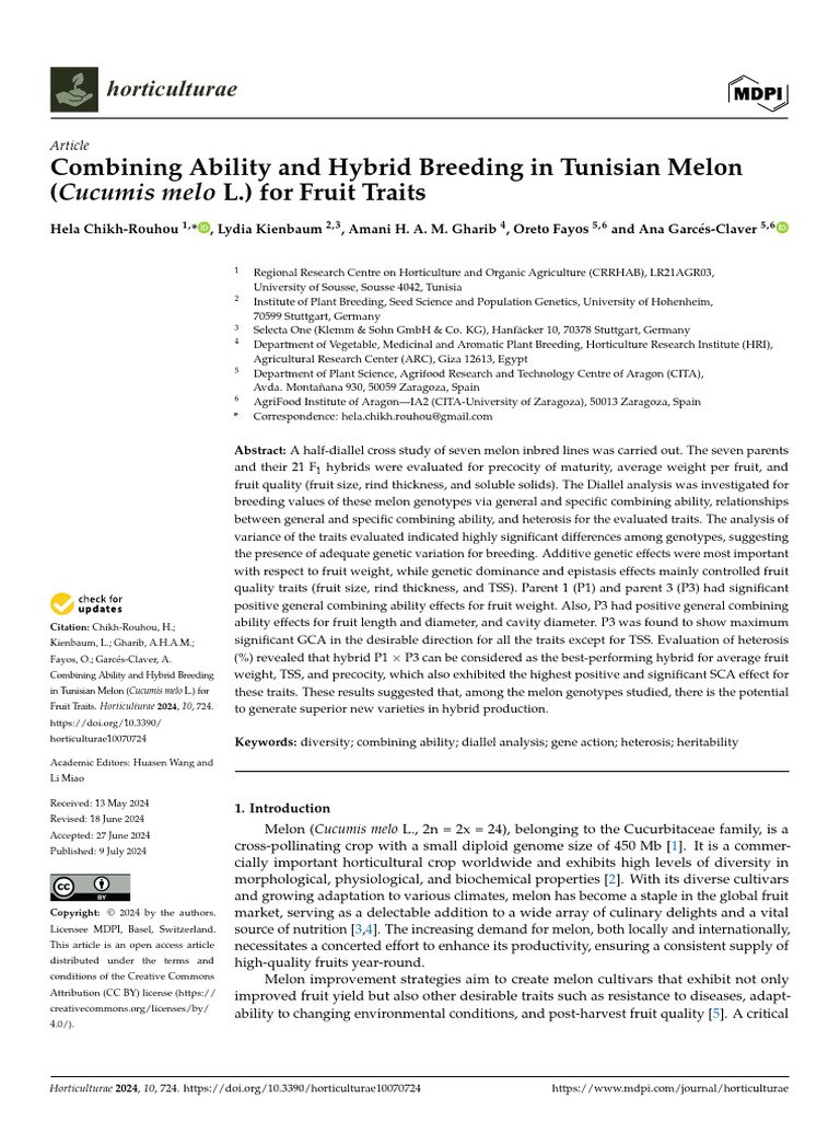 Tunisian Melon Hybrid Breeding Study | PDF | Plant Breeding | Hybrid ...