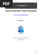 Fast Forensics with Hayabusa Tools | PDF | Software | Computer Science