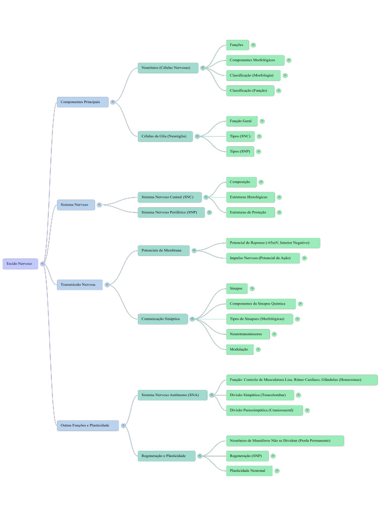 3 Mapa Mental Simplificado Tecido Nervoso | PDF