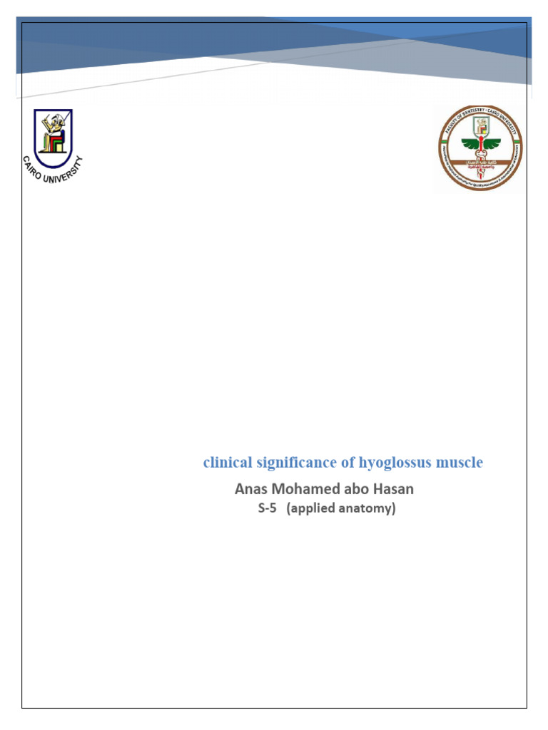 Hyoglossus Muscle Anatomy Relations Clinical Significance | PDF