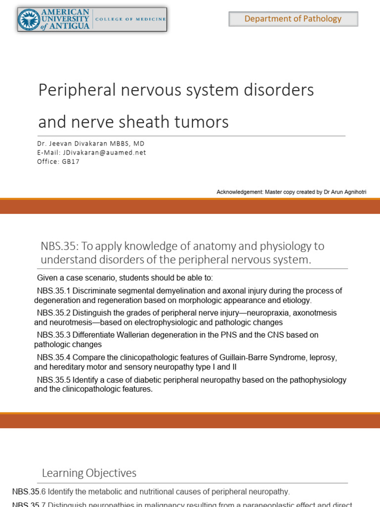 Peripheral Nervous System Disorders Overview | PDF | Myelin ...