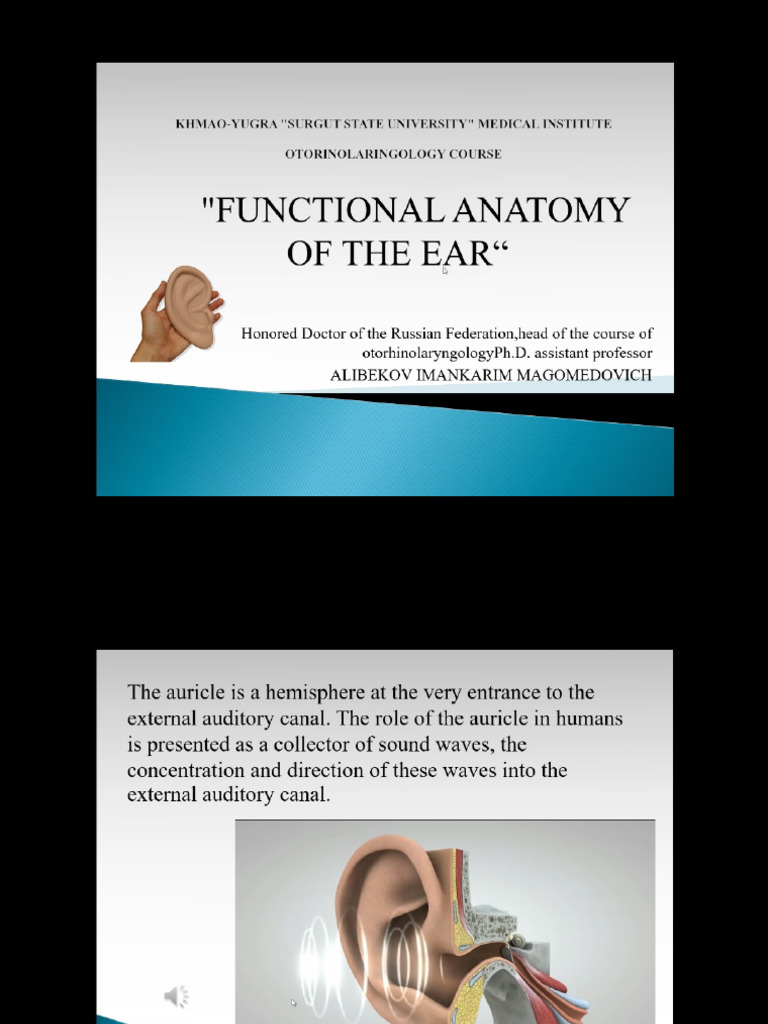 Functional Anatomy of Ear | PDF