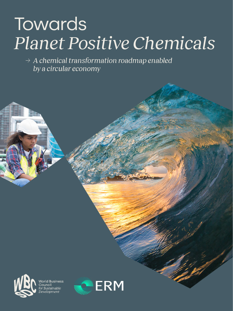 Towards Planet Positive Chemicals A Chemical Transformation Roadmap ...