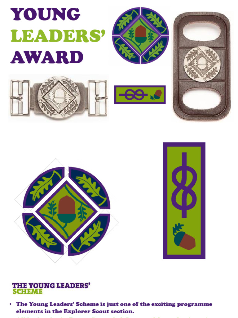 Young Leaders' Award Overview | PDF