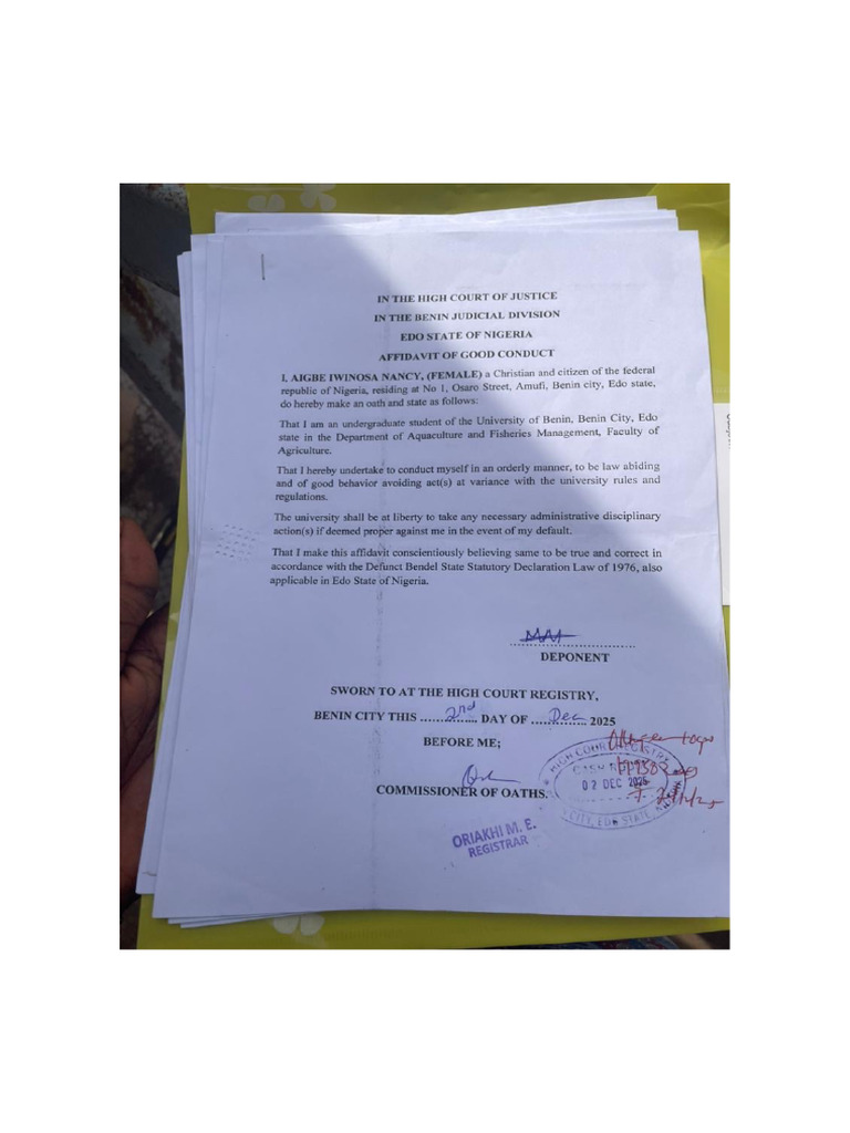 Affidavit of Good Conduct | PDF