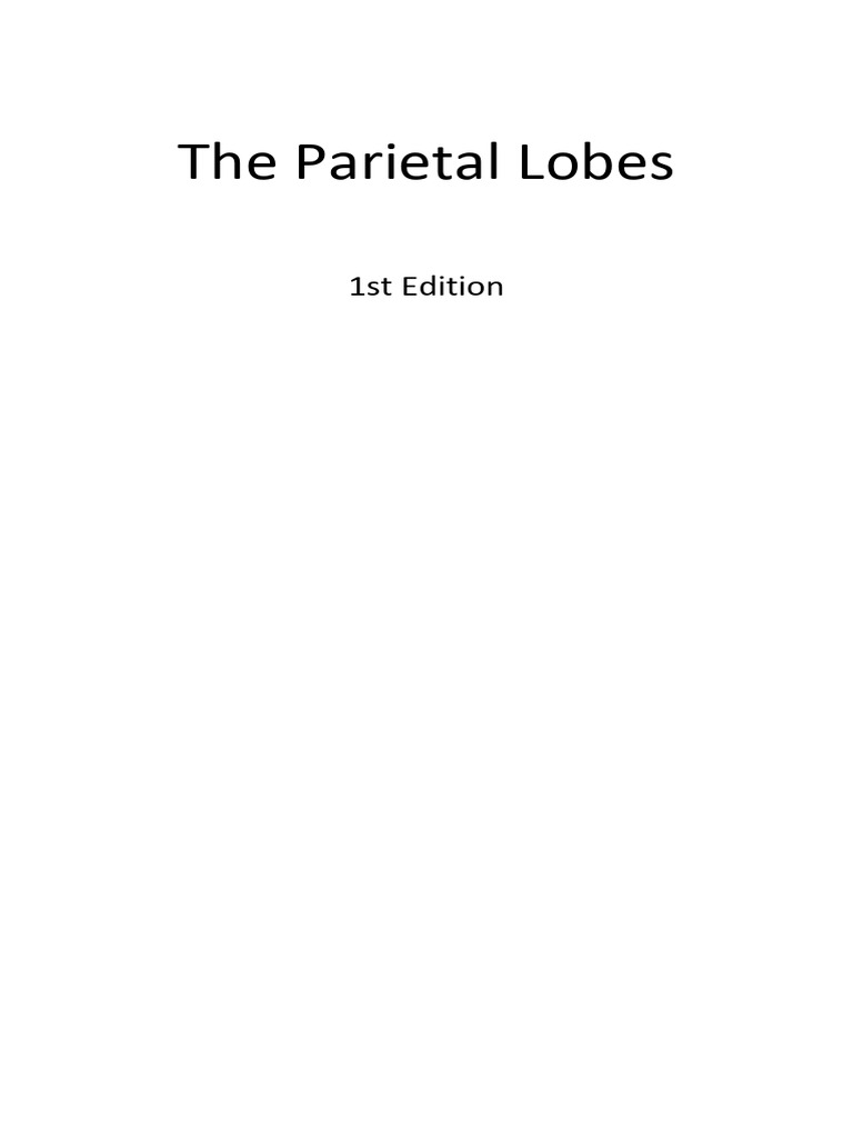 Overview of the Parietal Lobes | PDF | Parietal Lobe | Cerebral Cortex