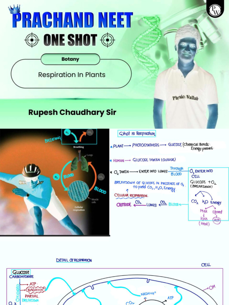 67a78d86e651cb4ac1f8f0d2 - ## - Respiration in Plants (One Shot ...