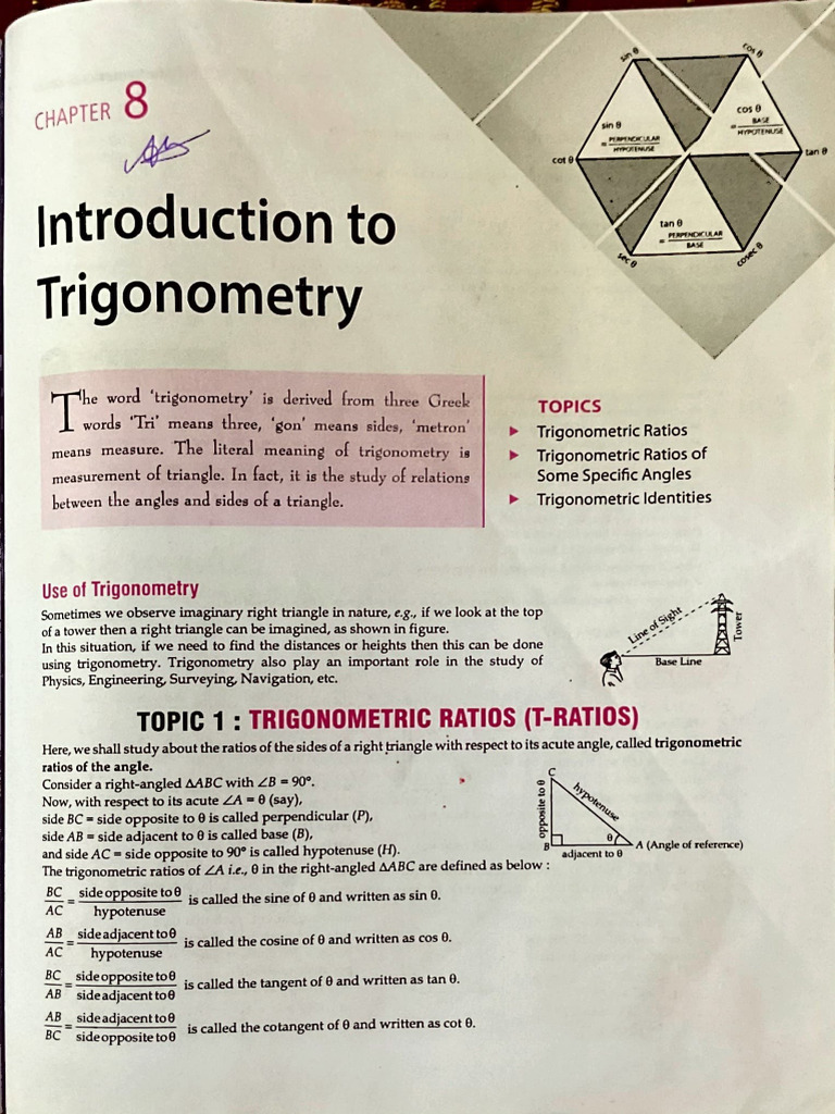 100 Percent Class X Trigo Ch-8 | PDF