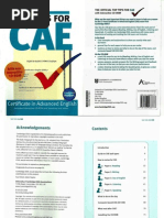 CAE Report Writing Guide | PDF
