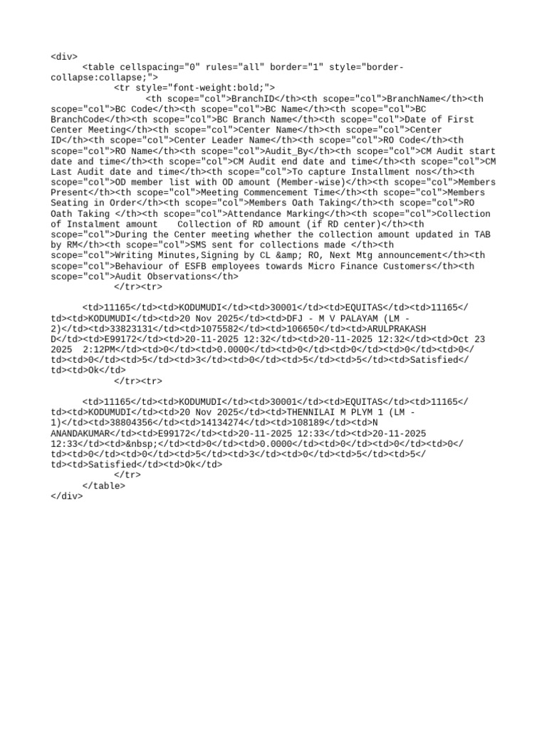CenterMeetAudit Individual Detail Score Report | PDF
