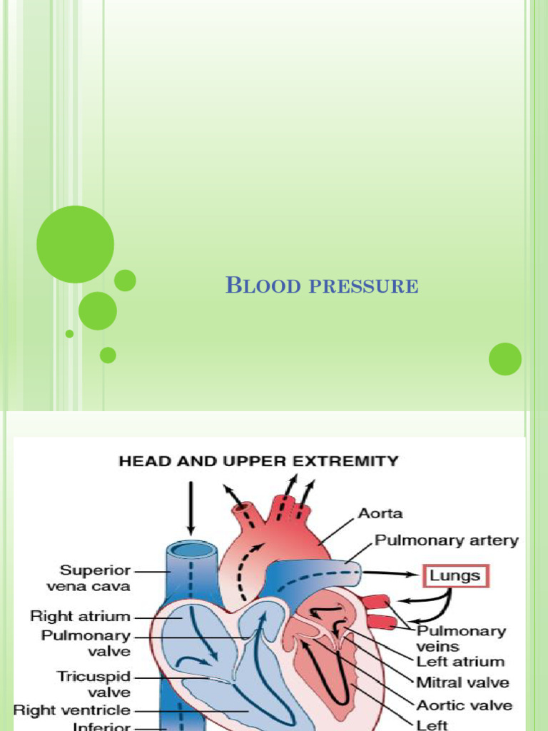 2 Blood Pressure - Final | PDF | Angiotensin | Blood Pressure