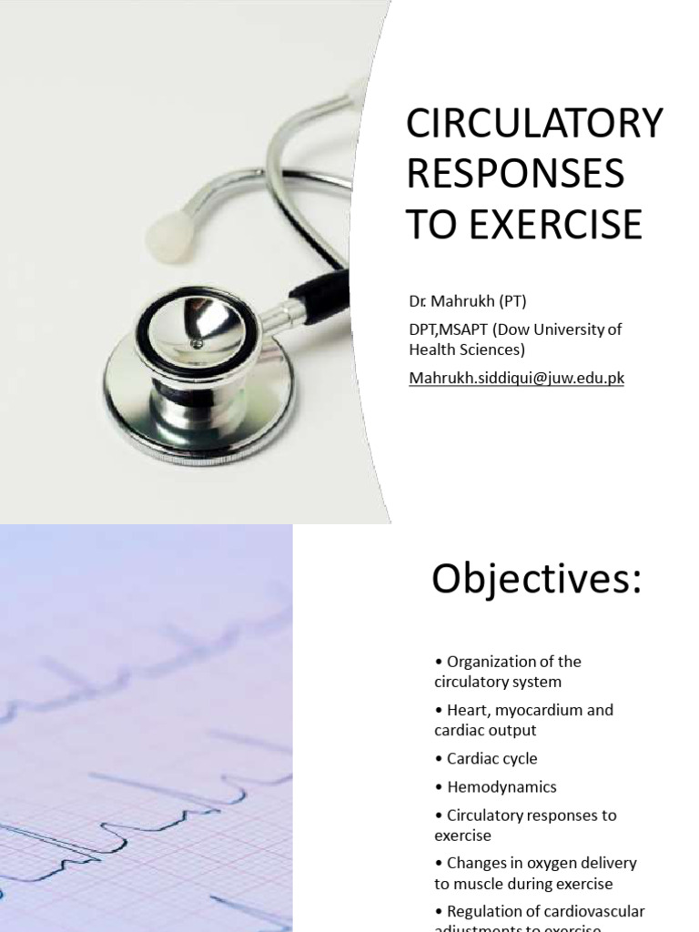 Lec 4 CIRCULATORY RESPONSES TO EXERCISE | PDF | Heart Valve | Heart