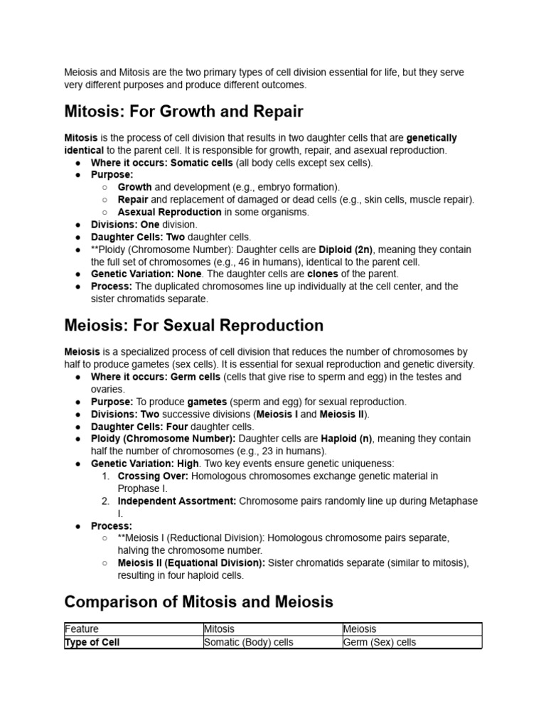 Explain Meiosis and Mitosis | PDF | Meiosis | Ploidy
