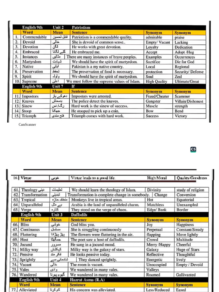 English 9 Sentences | PDF