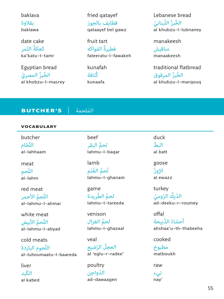 Collins Arabic 3000 Words and Phrases 28 | PDF