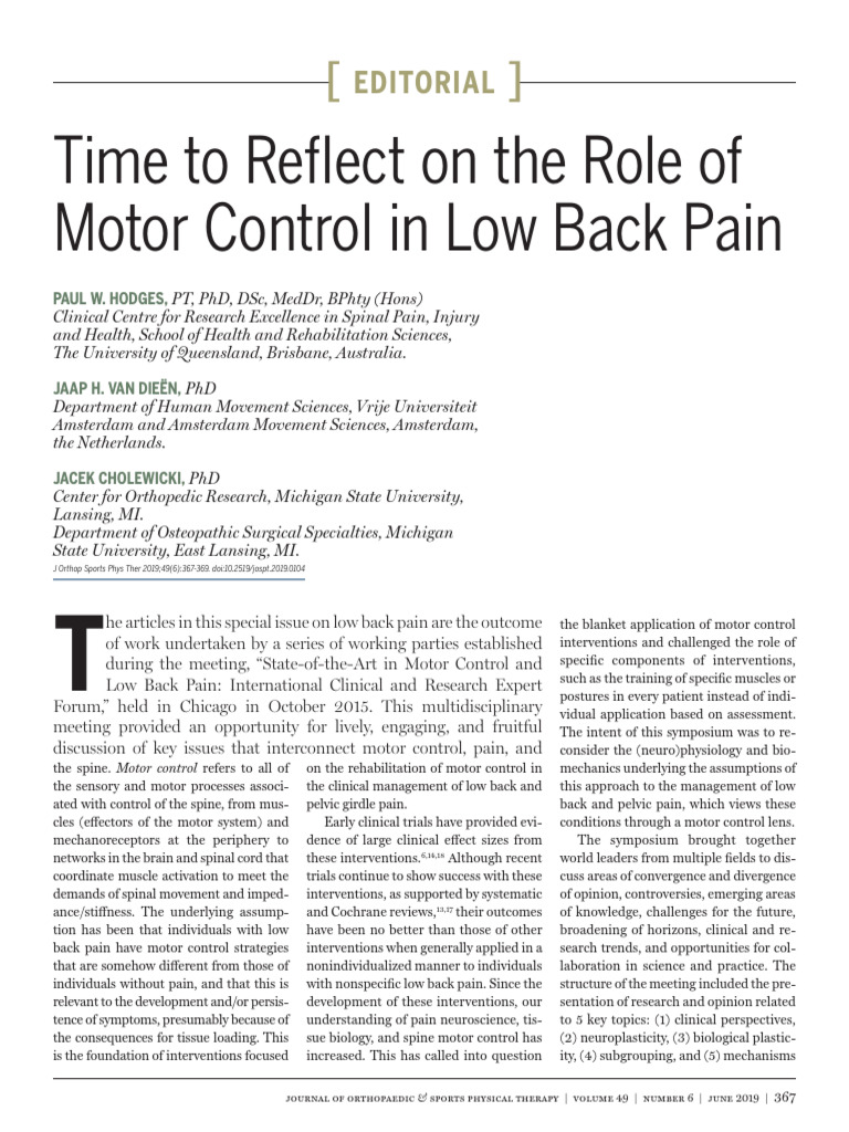 Motor Control Insights for Low Back Pain | PDF | Back Pain | Low Back Pain