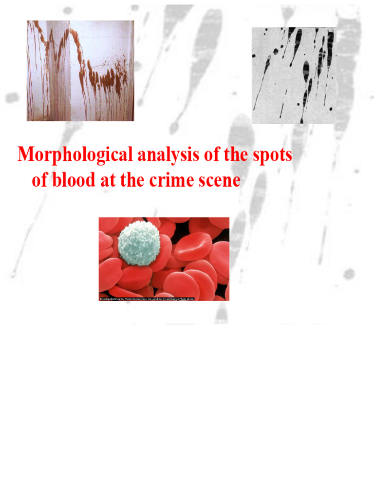 Forensic Bloodstain Morphology Analysis | PDF | Analysis | Forensic Science