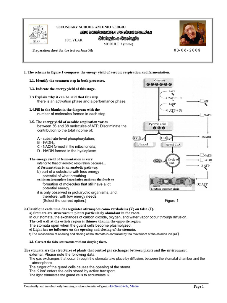 Preparation Sheet For The Ferm and Cellular Respiration Test With ...