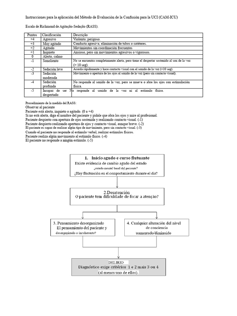 Cam-Icu + Escala de Rass PDF | PDF | Medicina CLINICA