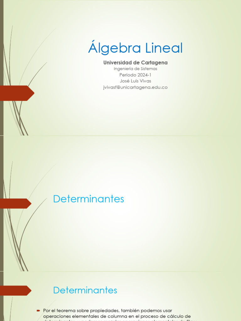 Álgebra Lineal - determinantes | PDF | Determinante | Matriz (Matemáticas)