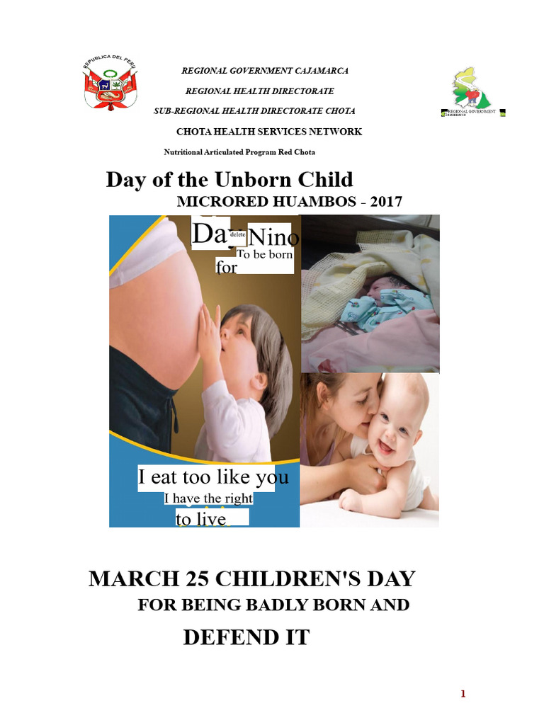 PLAN Day of The Unborn Child | PDF | Pregnancy | Maternal Health