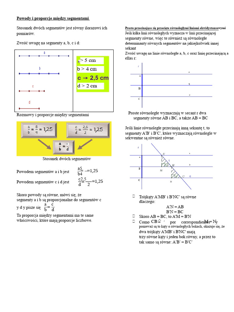 Powody I Proporcje Między Segmentami | PDF