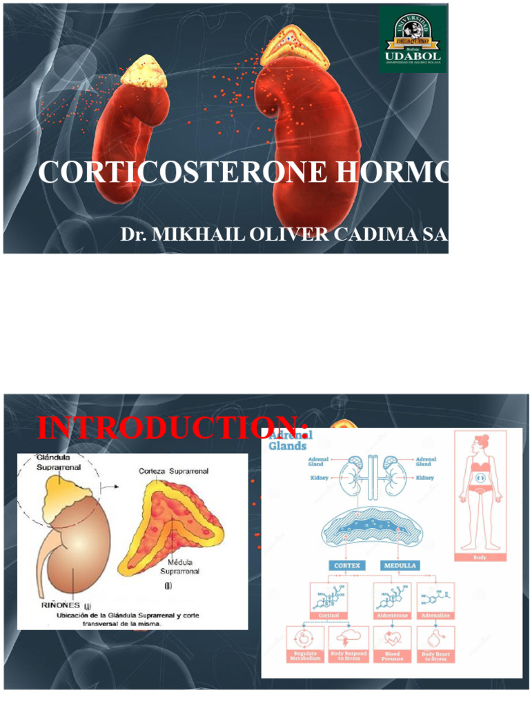 Corticosteroid Hormones Dr. Mikhail Cadima | PDF