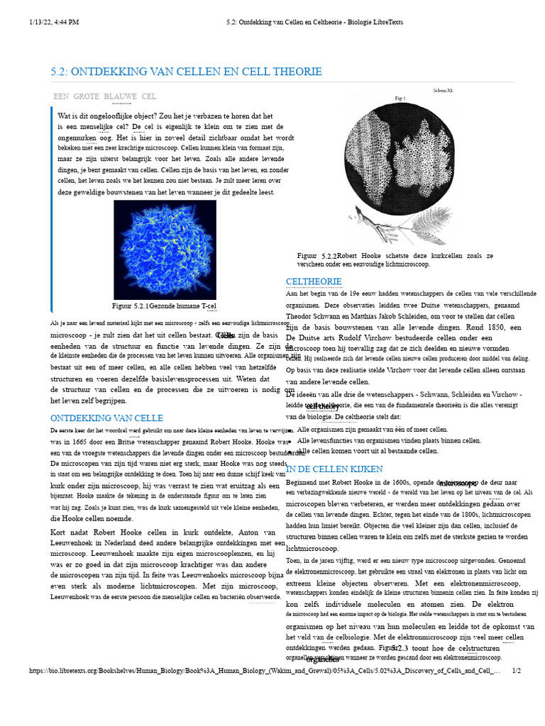 L1 A. Ontdekking Van Cellen en Celtheorie | PDF