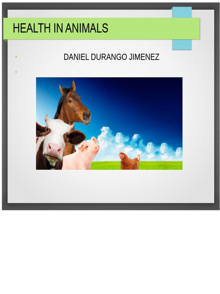 Animal Health Daniel Durango | PDF | Infection | Health Sciences