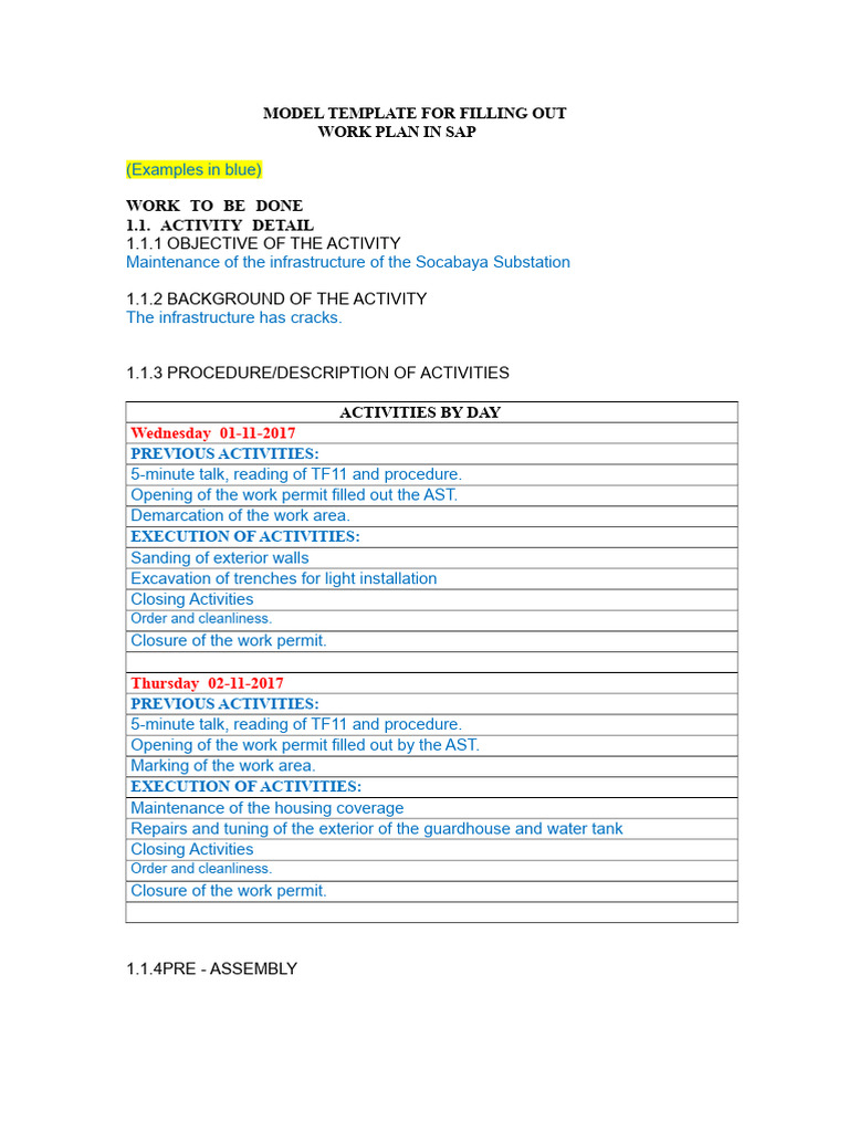 1. SAP Work Plan Model (1).docx | PDF