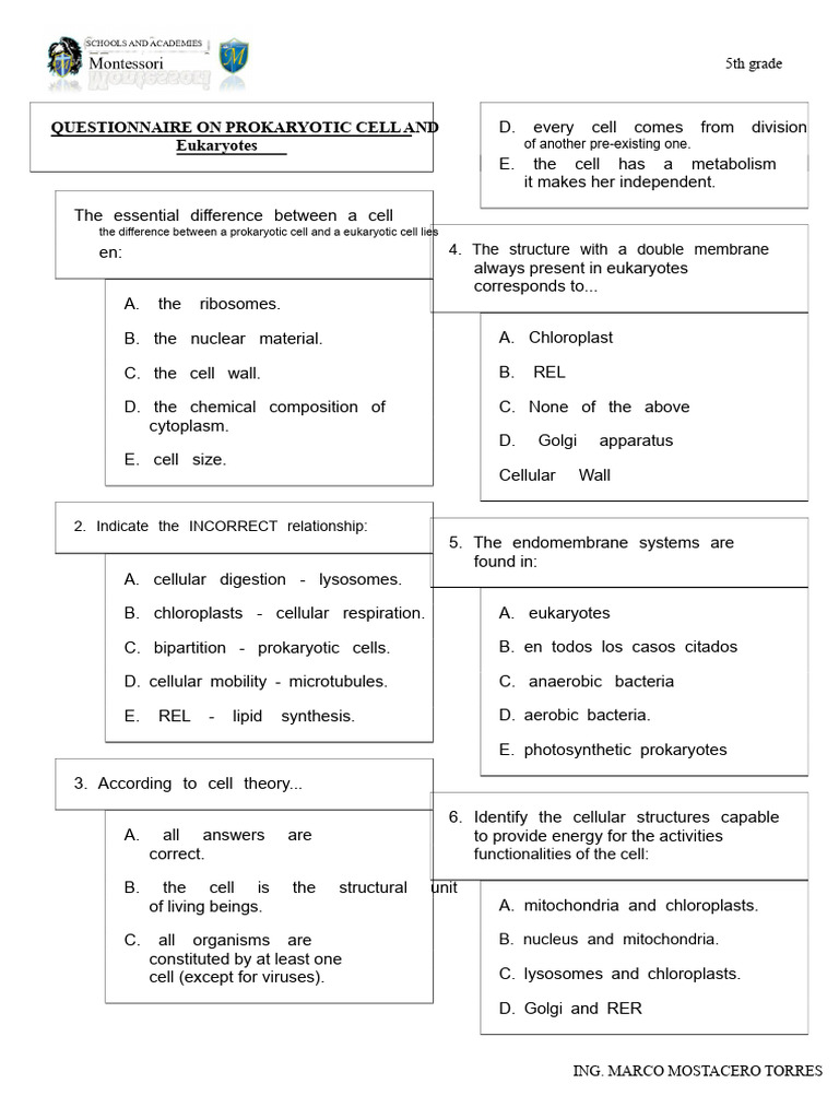 Questionnaire On Prokaryotic and Eukaryotic Cells | PDF | Cell (Biology ...