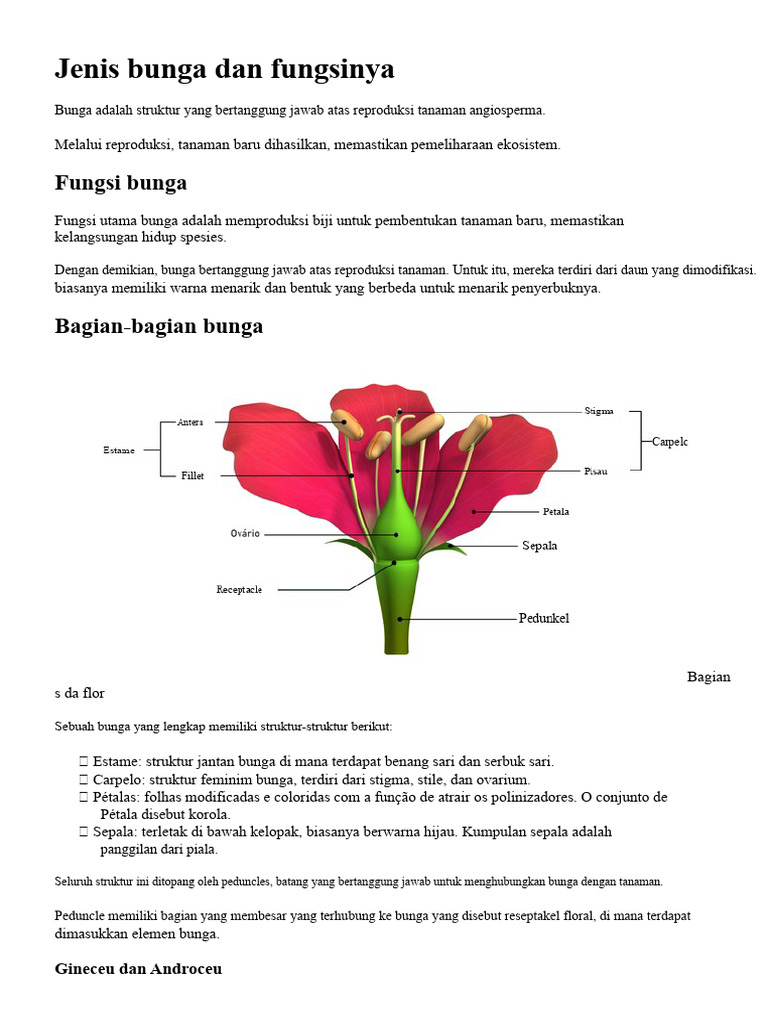 Jenis Bunga Dan Fungsinya | PDF