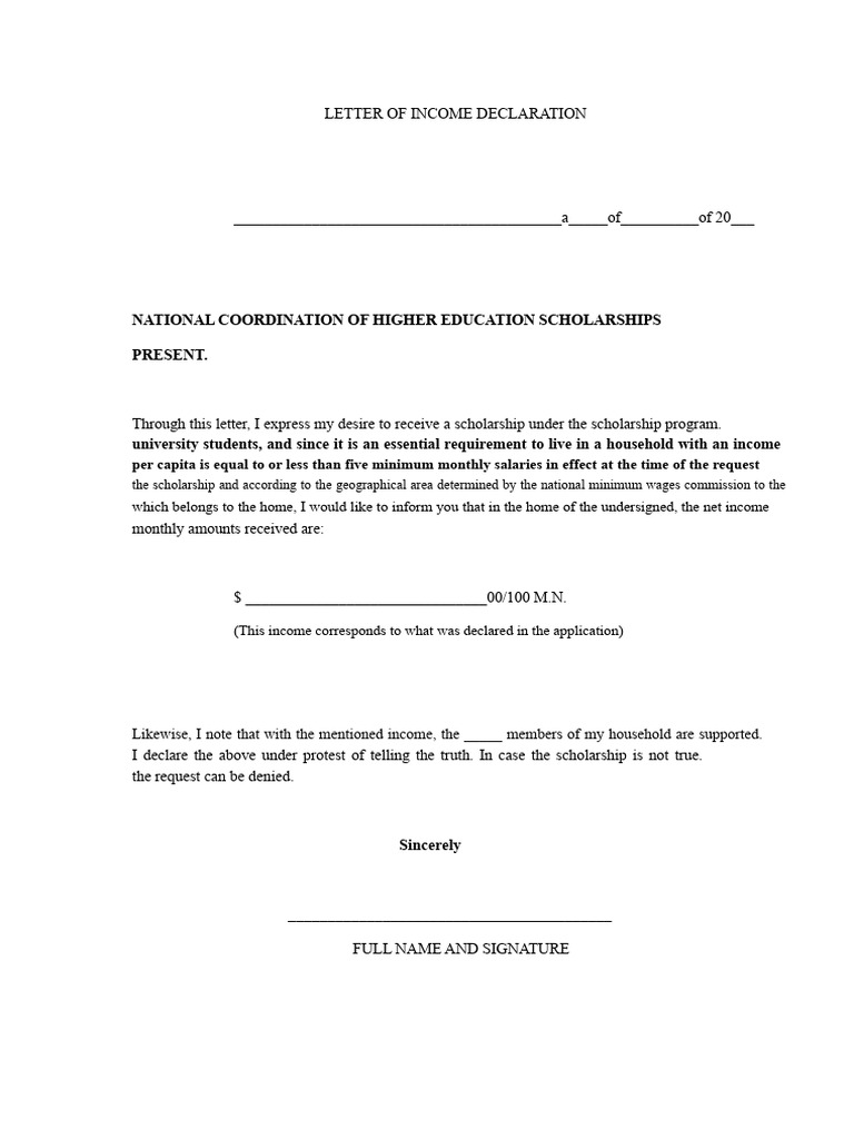 Income Declaration for Scholarship Application | PDF