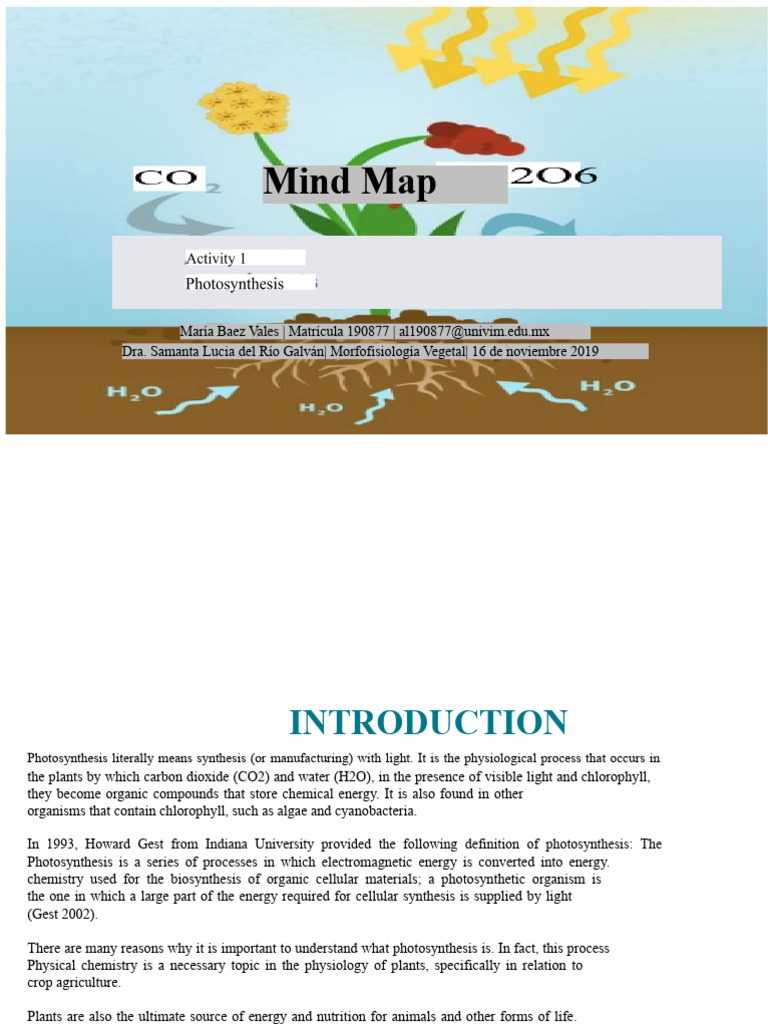 Photosynthesis Mind Map PDF | PDF