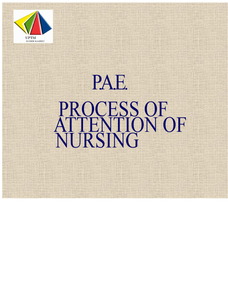 Execution Stage | PDF