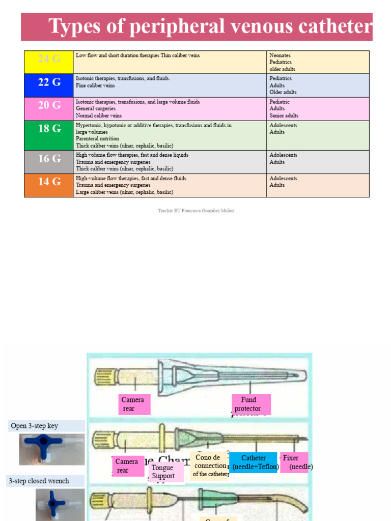 Peripheral Venous Catheter | PDF | Vein | Syringe