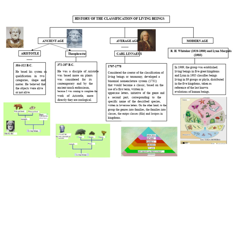 CLASSIFICATION OF LIVING BEINGS | PDF