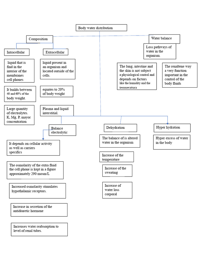 Copy of conceptual map of body water distribution | PDF | Dehydration ...