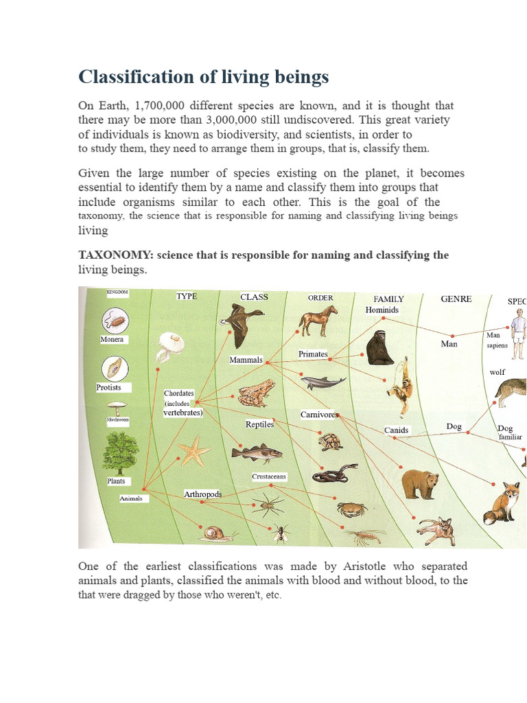 Classification of living beings | PDF | Taxonomy (Biology) | Taxa