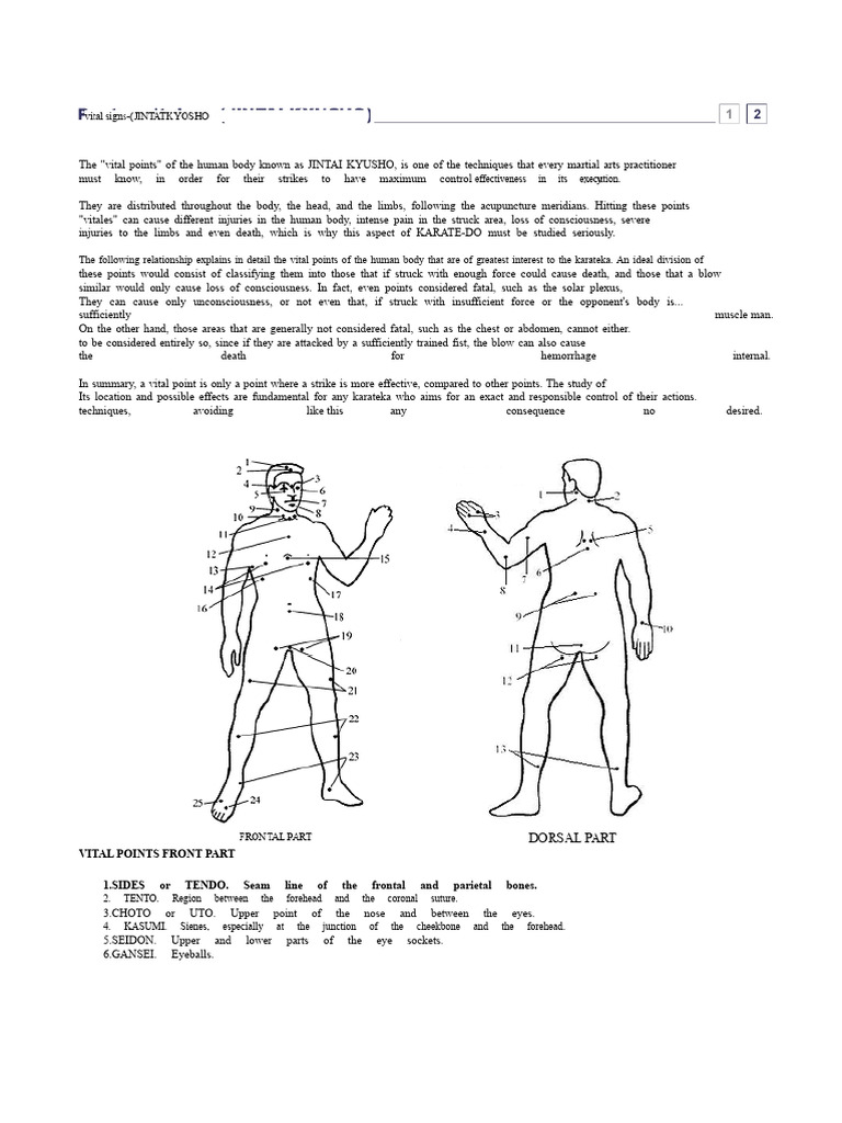 Vital Points in Karate Techniques | PDF | Lung | Thorax