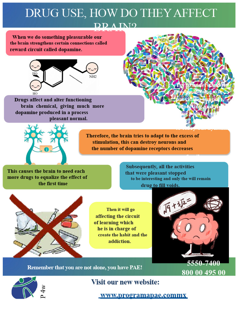 Impact of Drugs on Brain Function | PDF