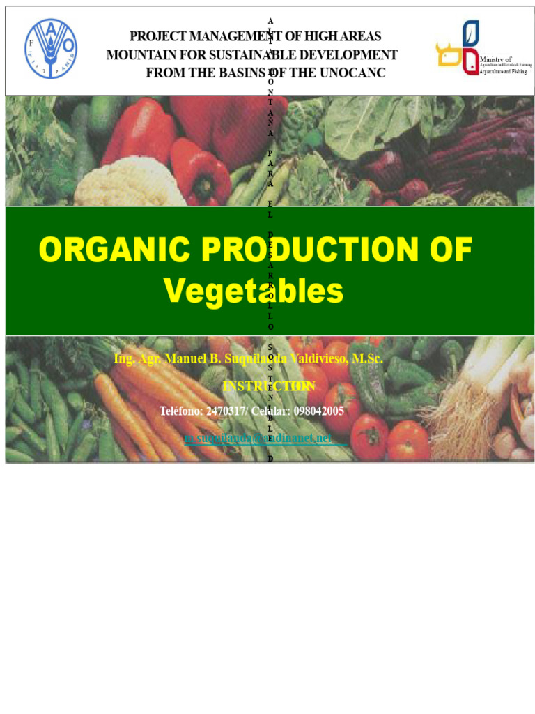 Project Management for Sustainable Vegetable Production | PDF ...
