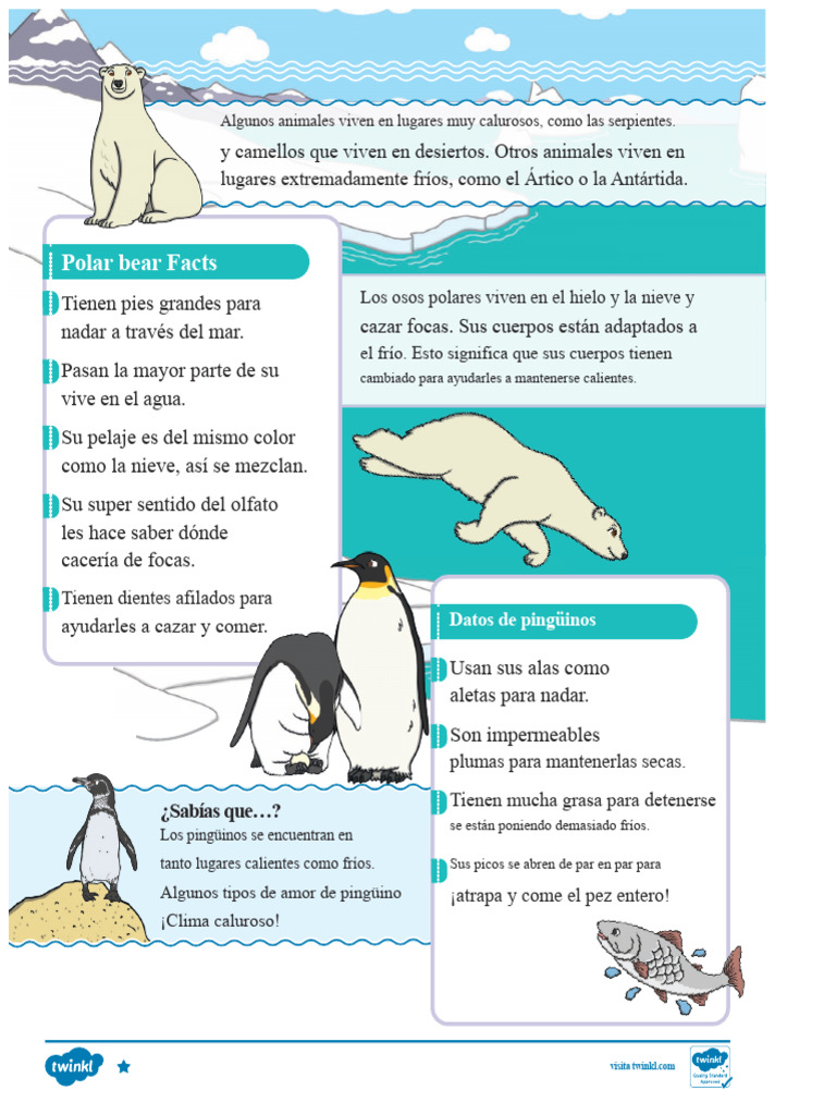 Actividad de Comprensión Lectora Diferenciada Sobre Los Animales Del ...