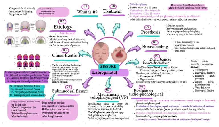 Mental Map of Cleft Lip and Palate | PDF | Human Head And Neck | Face