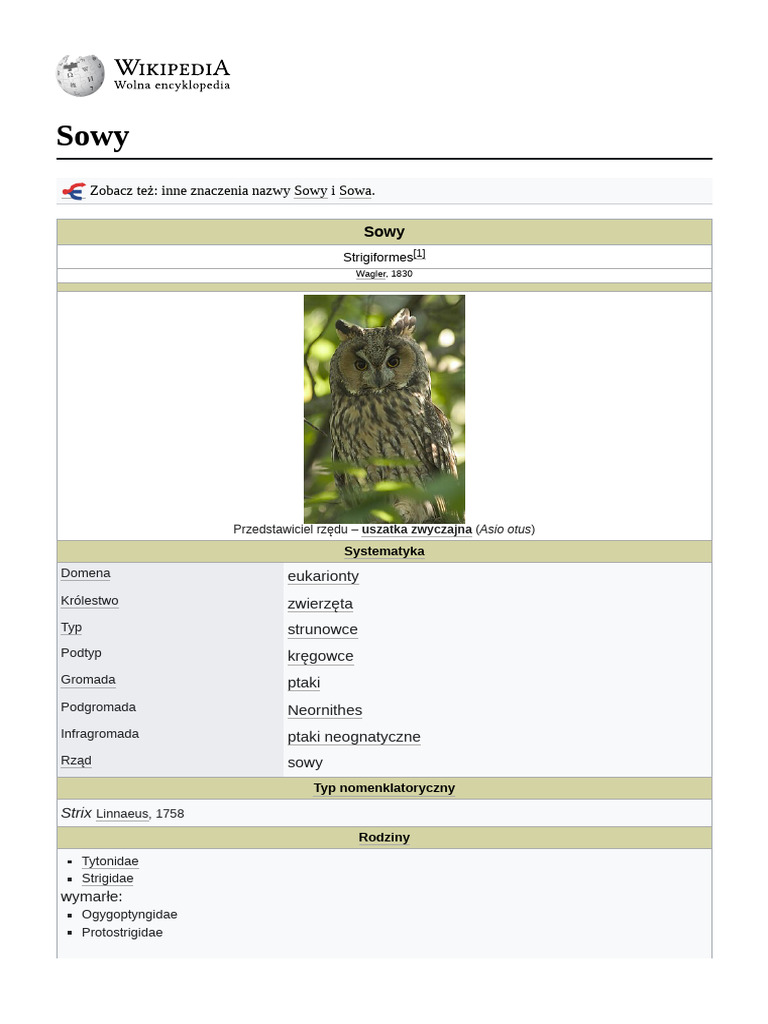 Sowy | PDF