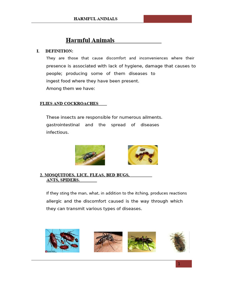 Harmful Animals | PDF